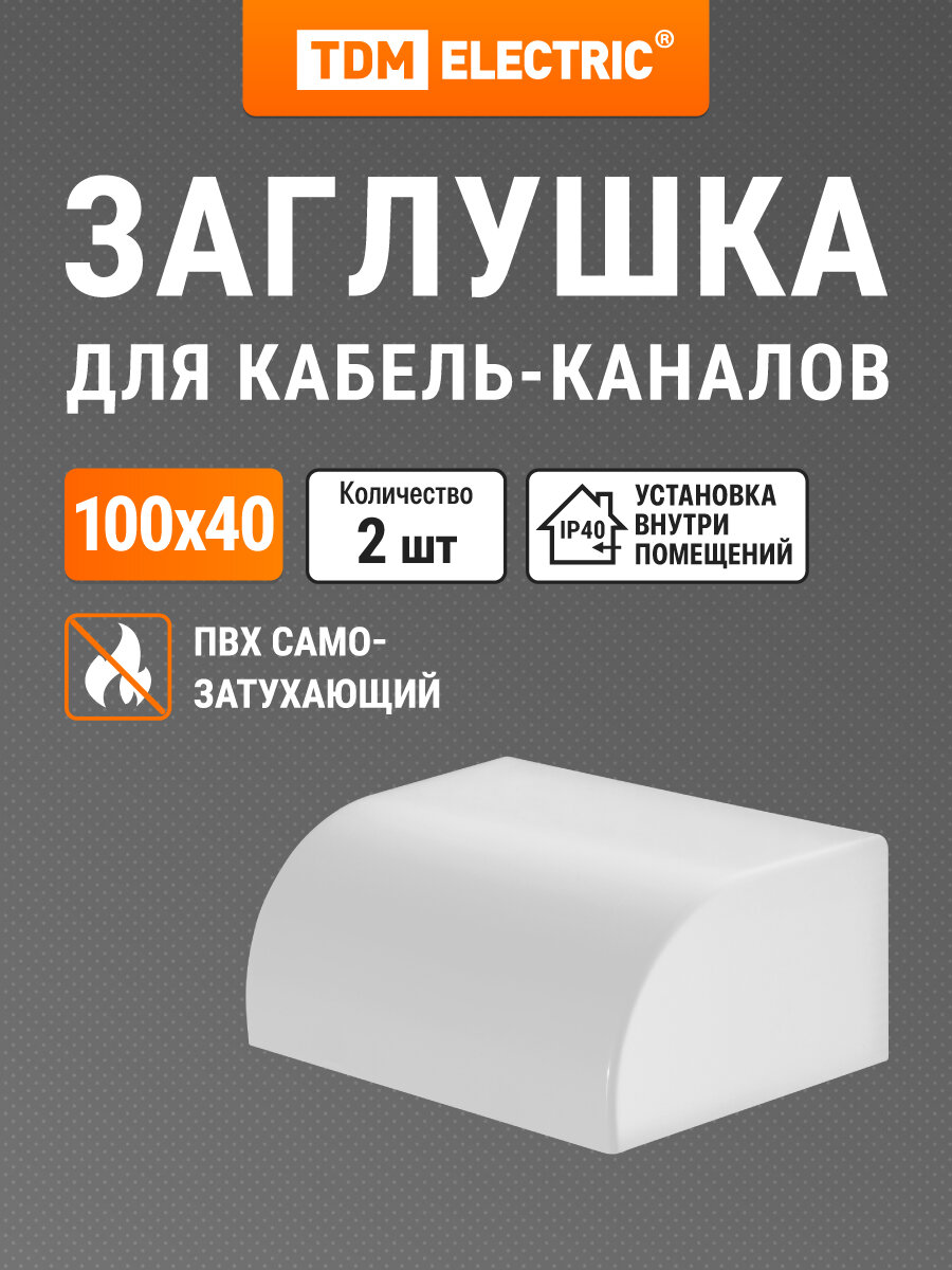 Заглушка кабельной трассы КМЗ, белый, 100x40 упаковка 2 шт TDM Electric