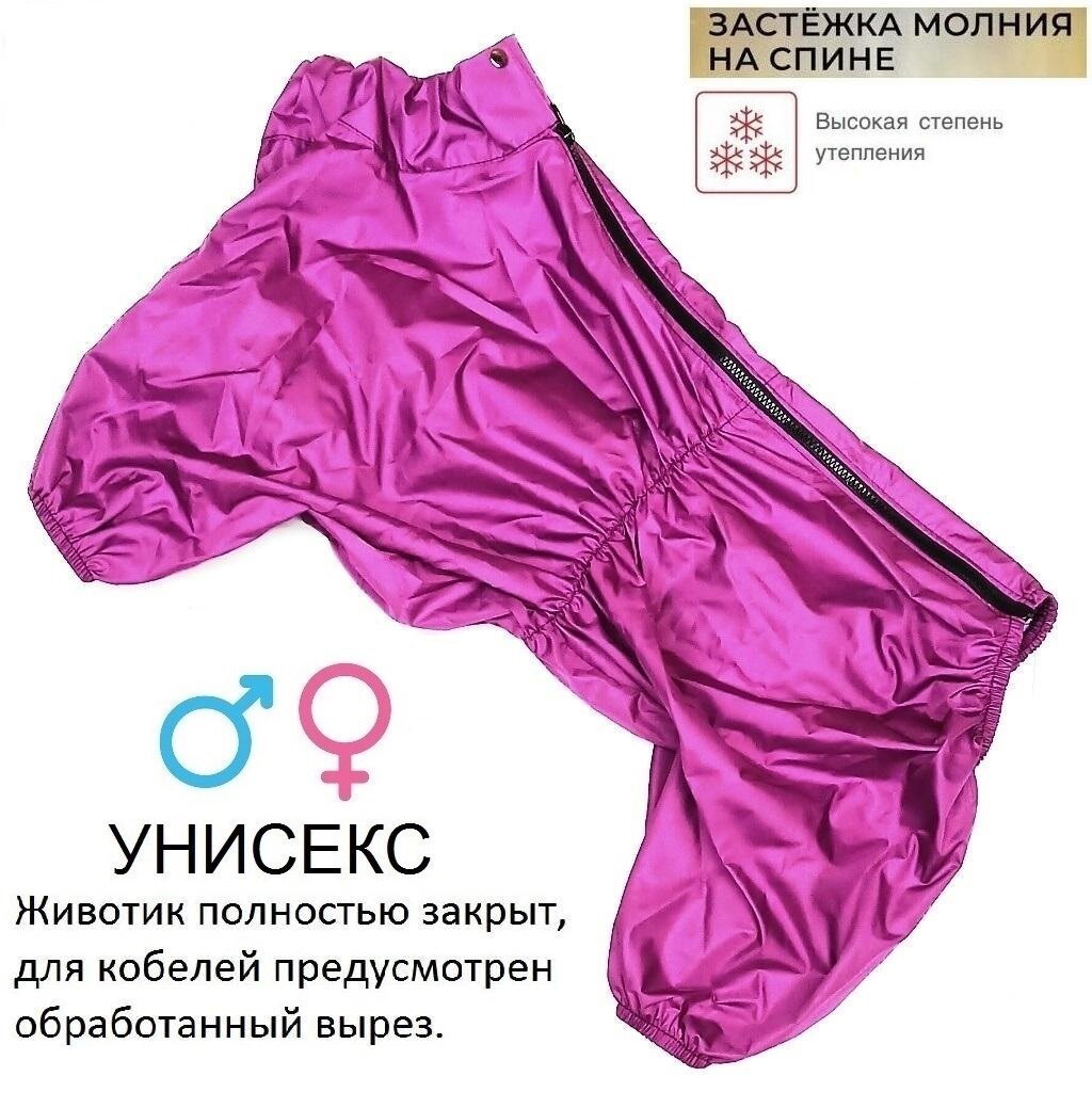 "Йорк" комбинезон зимний 22см (22см )