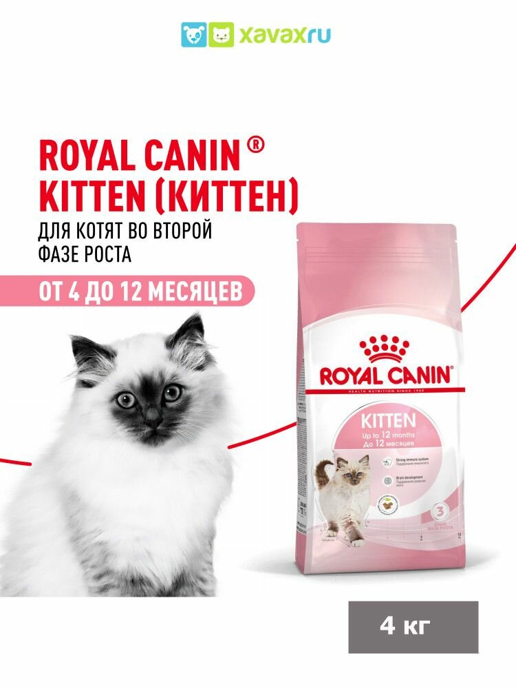 Сухой корм Royal Canin Kitten сбалансированный для котят в период второй фазы роста до 12 месяцев, 4 кг