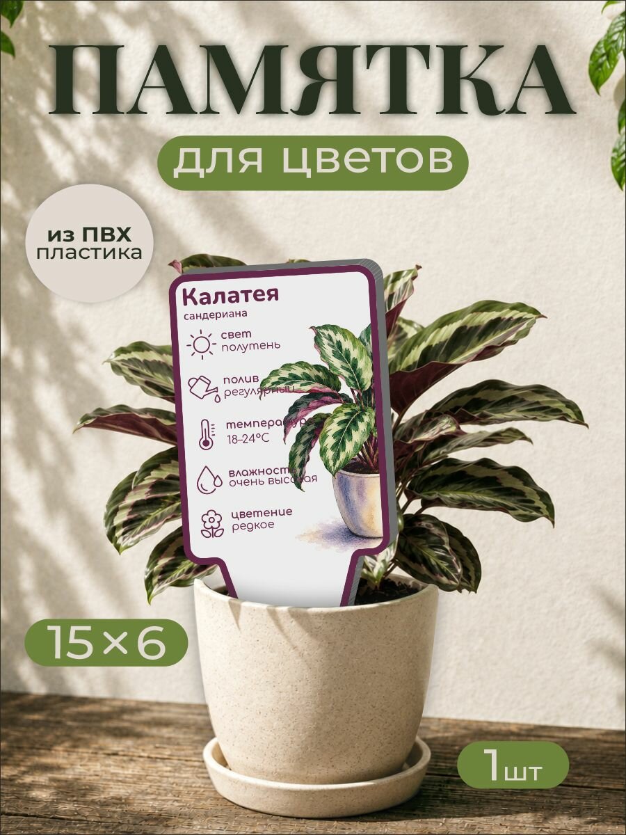 Фигурки для сада Калатея