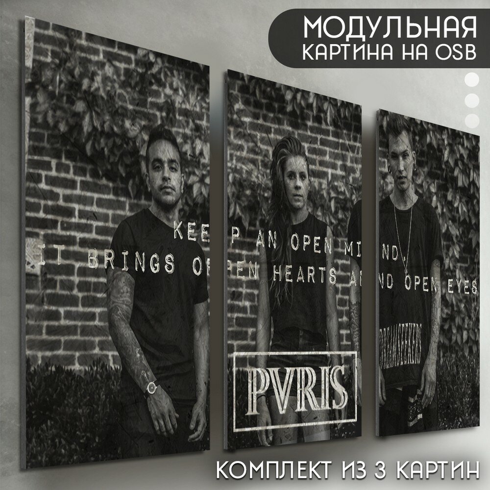 Модульная картина на рельефной доске ОСП "музыка PVRIS (Линн Ганн, поп, рок, инди) - 6135"