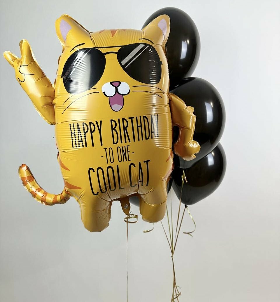 Недорогой букет из шаров для мужчины "Классный кот"