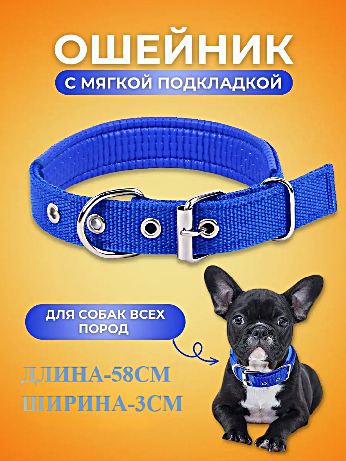 Ошейник для собак мелких и средних пород, Ошейник нейлоновый с пряжкой, Длина 38 см, Ширина 3 см, Синий
