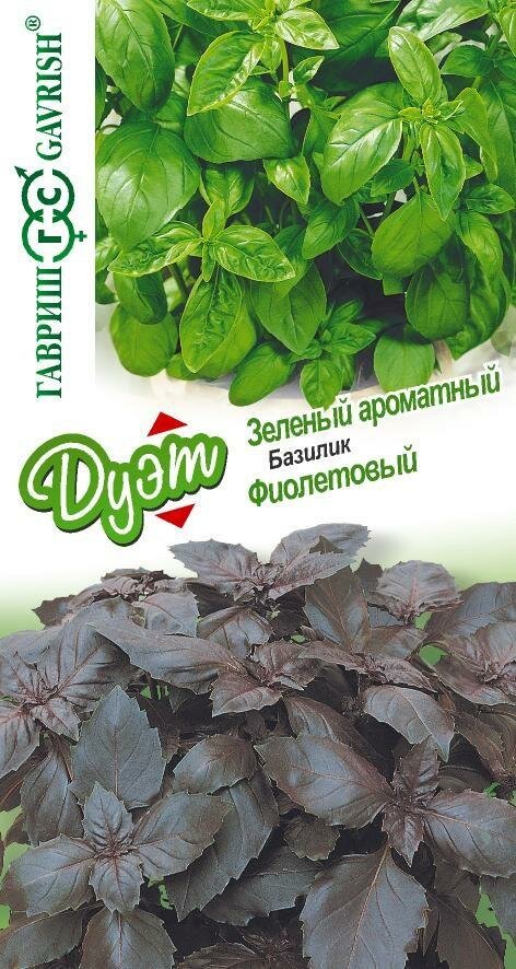 Семена Базилик Фиолетовый 0,1г+Зеленый ароматный 0,1г (Гавриш) Дуэт