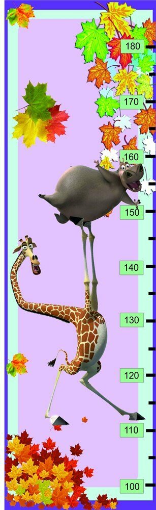 Ростомер 280 х 910 пластик 3мм