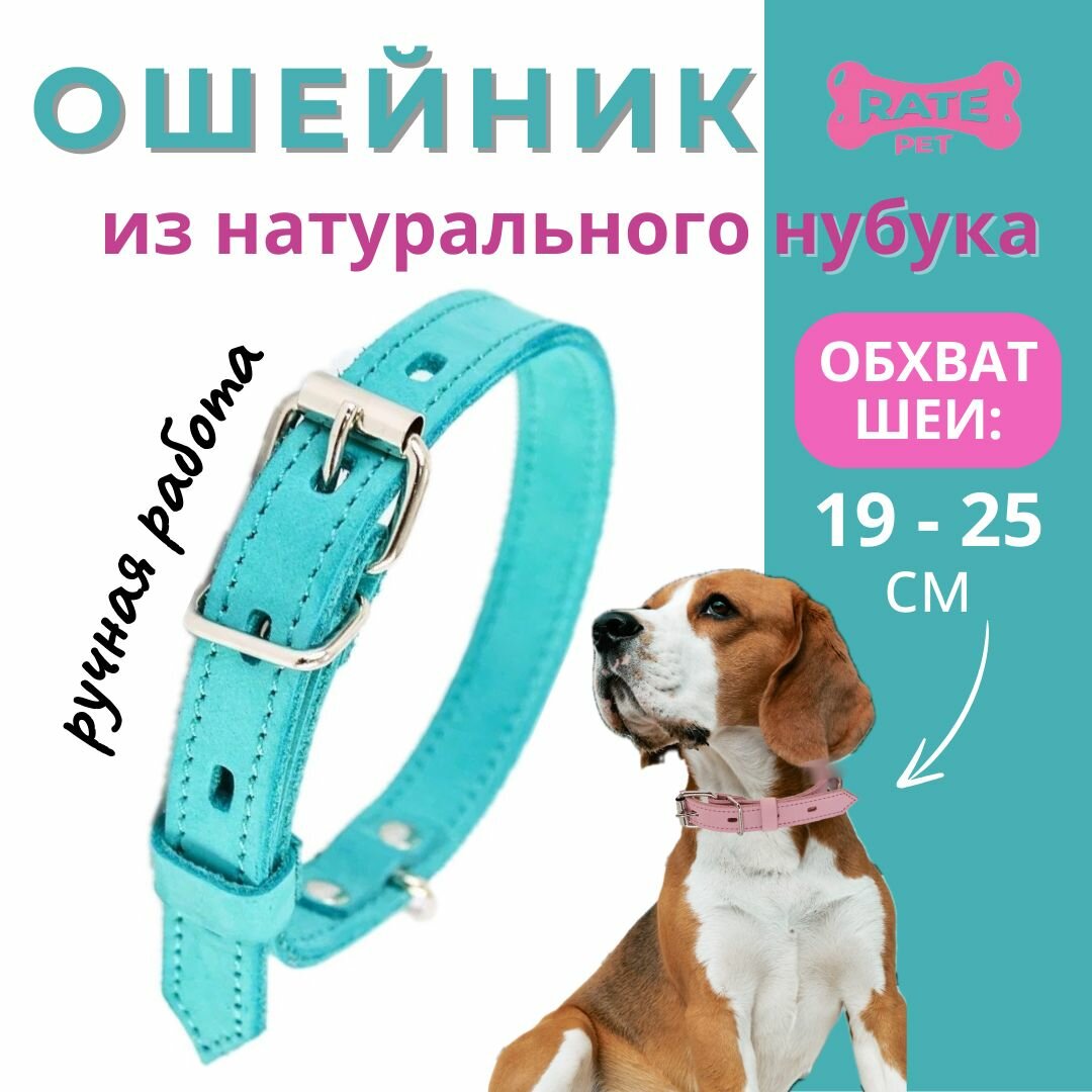 Ошейник для собак кожаный (нубук), обхват шеи 19-25 см, ширина 1 см, бирюзовый