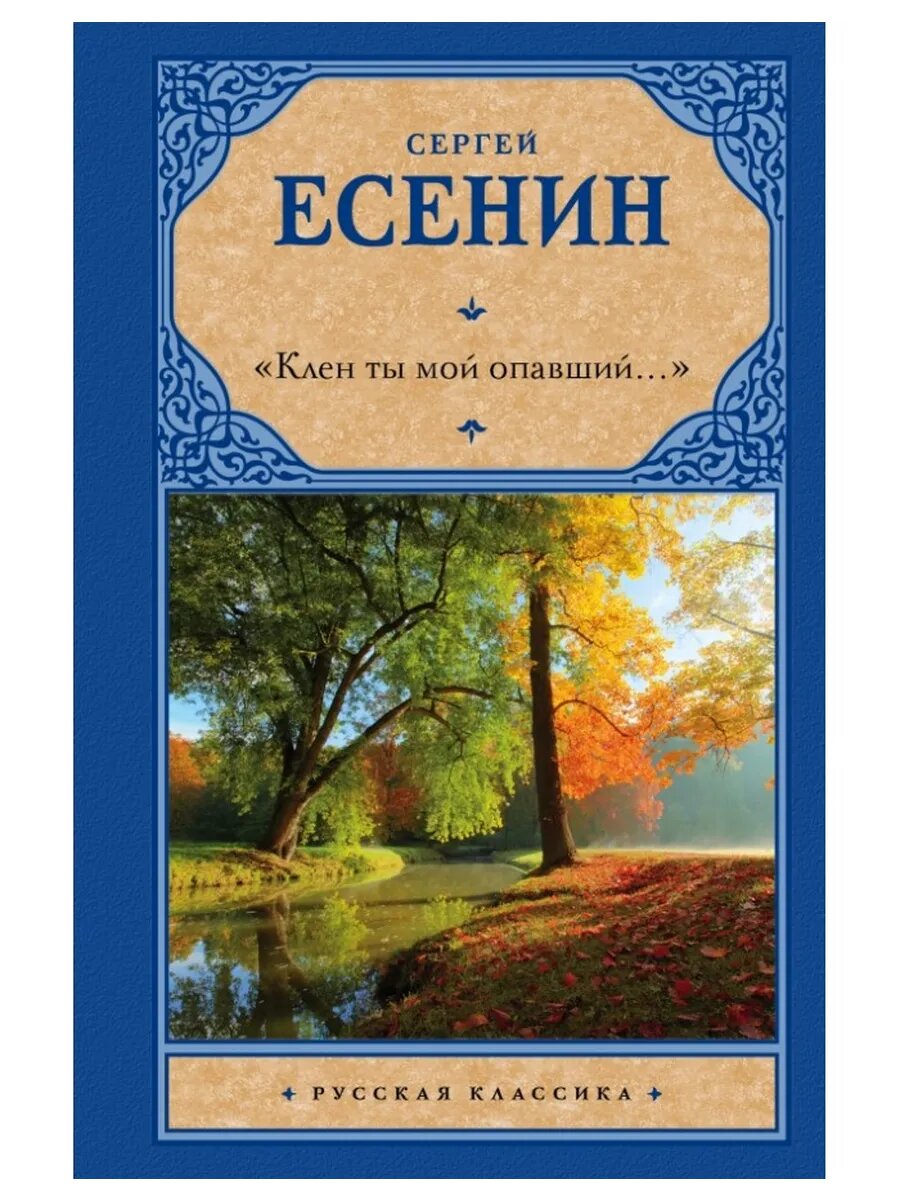 Клен ты мой опавший.
