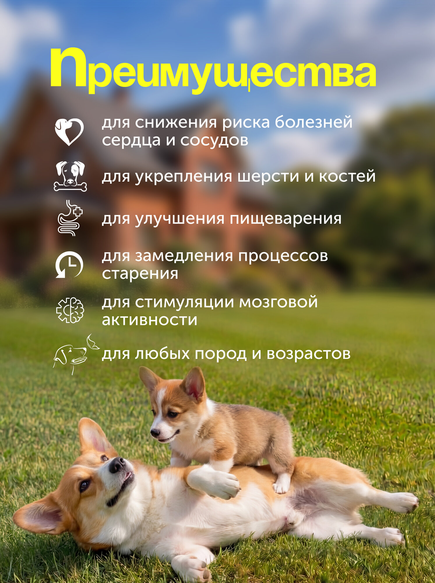 Каша для собак всех пород, рацион №3, рис и семена льна, 5 кг — фото 1