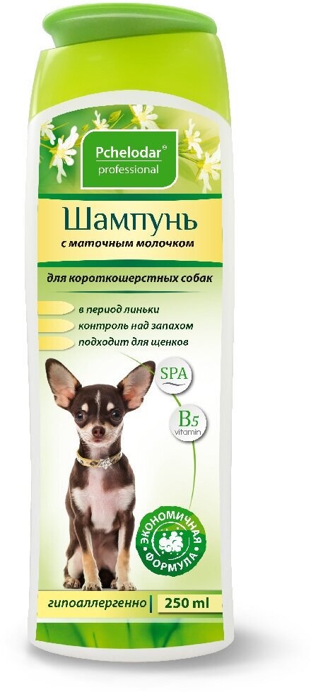 Пчелодар Шампунь гигиенический с маточным молочком для короткошерстных собак флакон, 250 мл