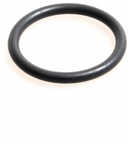 Кольцо уплотнительное Ford 1720281