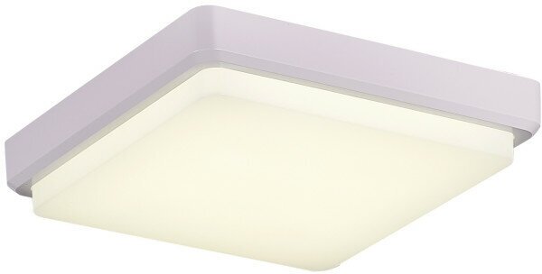 Накладной светильник Evoluce SLE200212-01