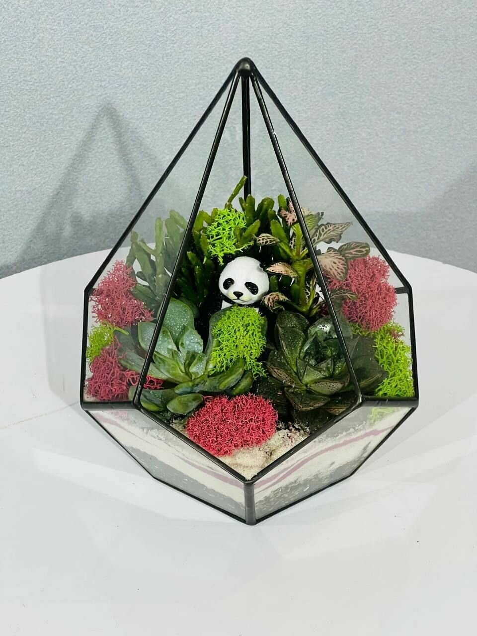 Флорариум Панда / Комнатное растение / Подарок