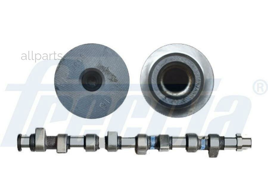 FRECCIA CM05-2244 Распредвал VAG