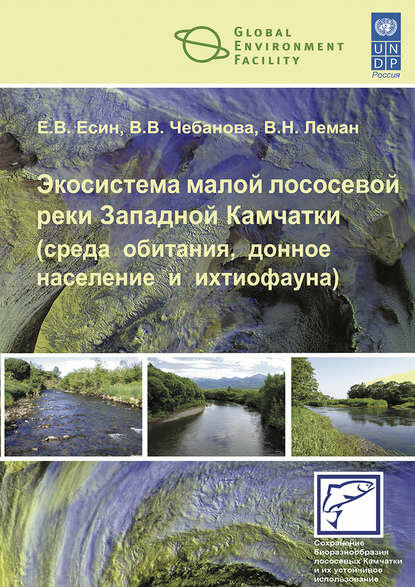 Экосистема малой лососевой реки Западной Камчатки (среда обитания, донное население и ихтиофауна) [Цифровая книга]