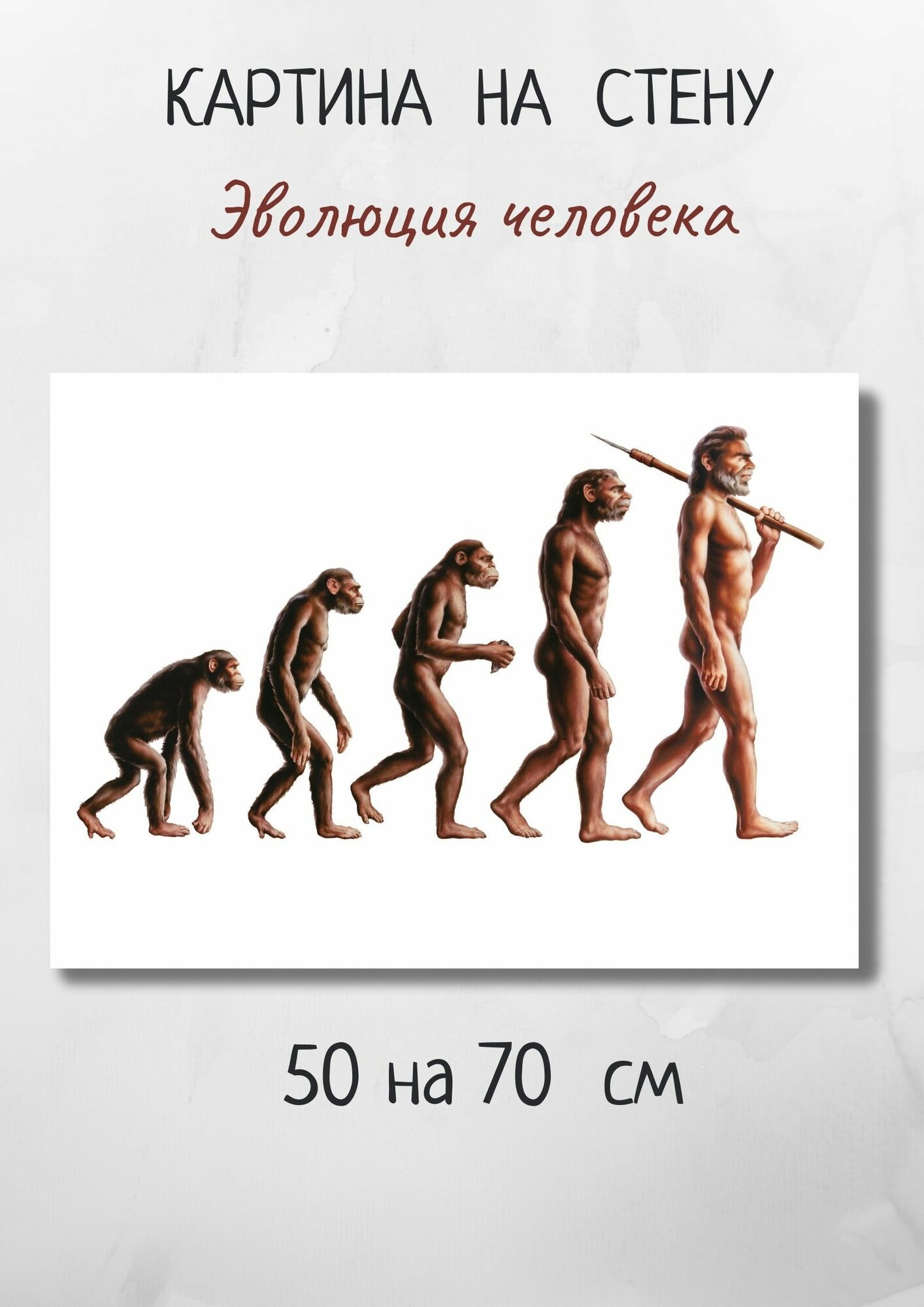 Картина на холсте интерьерная в арт стиле "Эволюция человека"