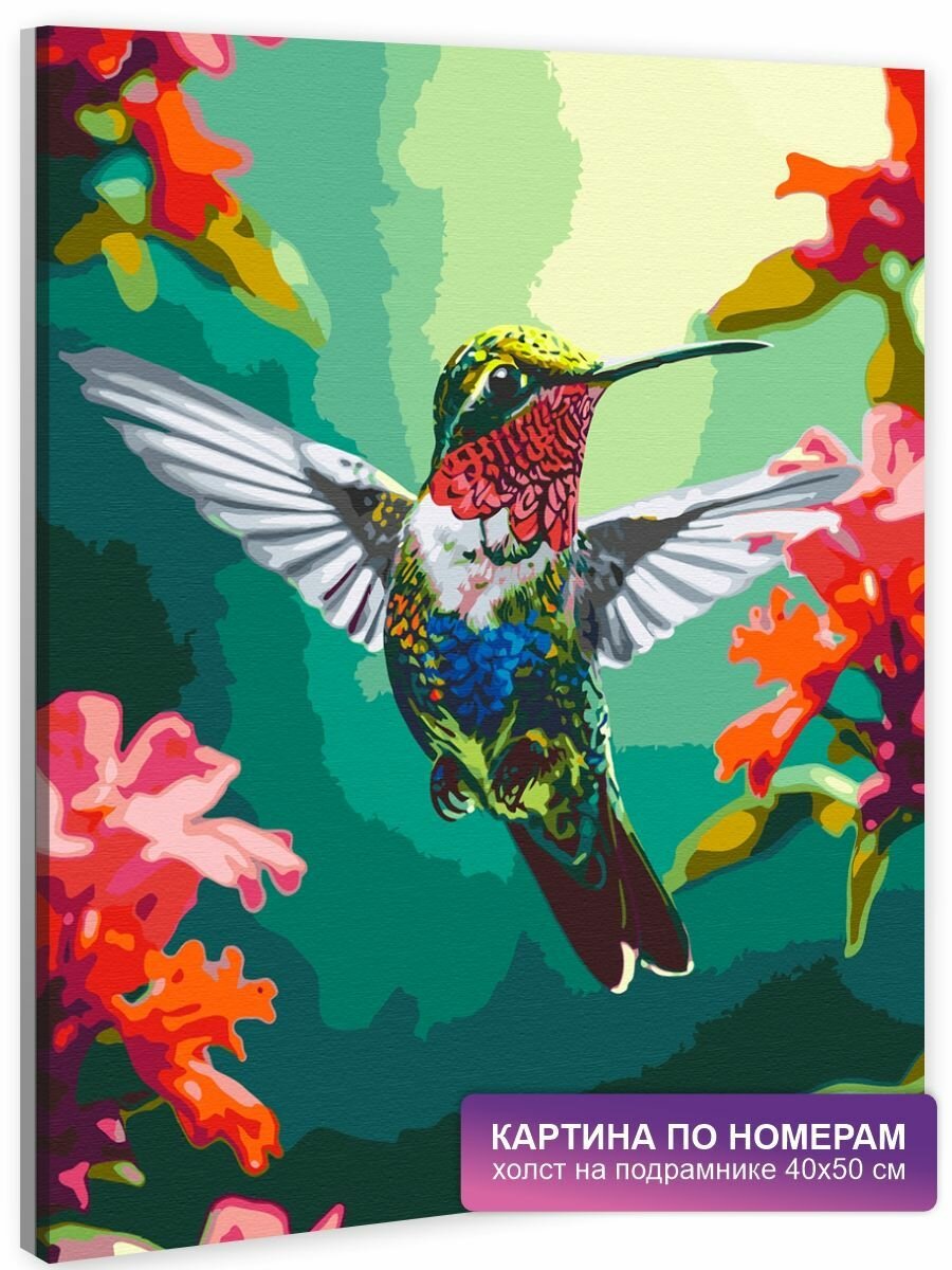 Картина по номерам на холсте с подрамником 40х50 см. Природа, животные, рыбы, птицы. "Колибри", арт. 5143/