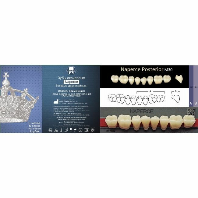 Зубы акриловые, вариант исполнения: Naperce двухслойные Posterior (боковые нижние) фасон M30, цвет B1, 8 шт. на планке.