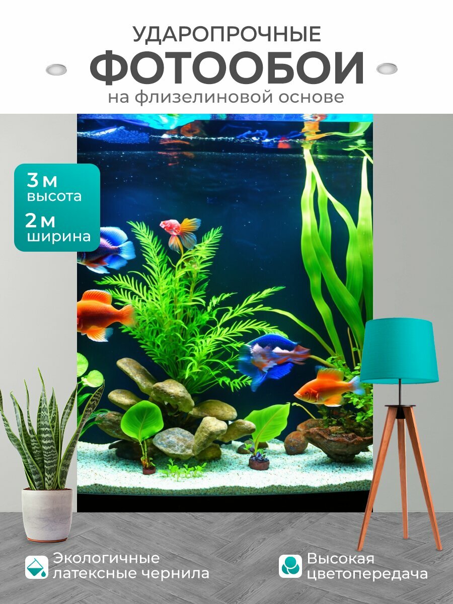 Фотообои моющиеся ударопрочные "Сцена аквариумов с экзотическими рыбами и растениями, выполненная в стилях бохо и придающей атмосферу тепла и домашнего" 200x300 см. флизелиновые на стену