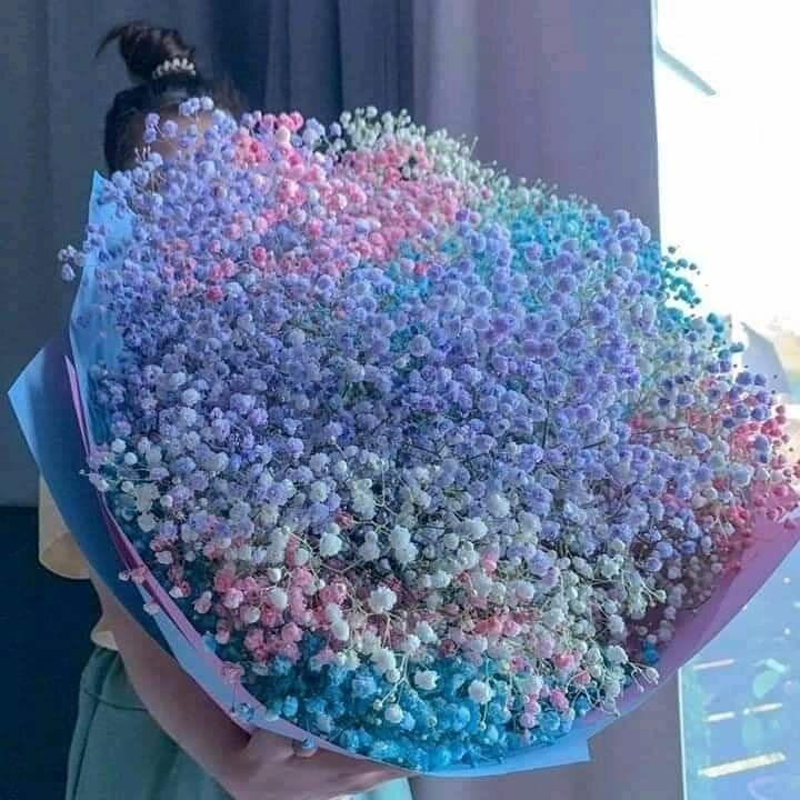 Большой монобукет "Гипсофилы", в стильной упаковке, для любимой, учителя, мамы