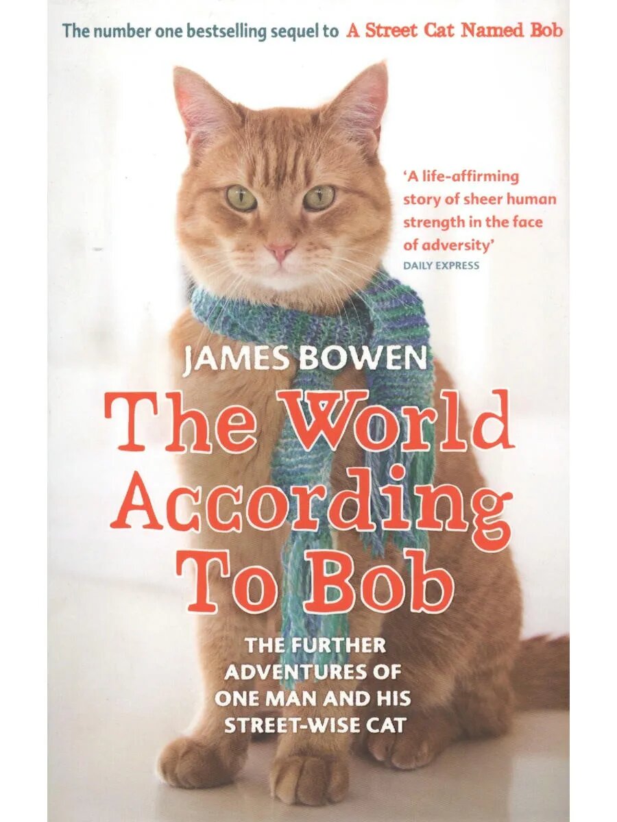 The World According to Bob