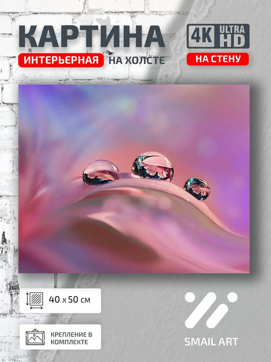 Картина на холсте интерьерная 40 на 50 на стену Капли Macro для студии макро интерьер декор