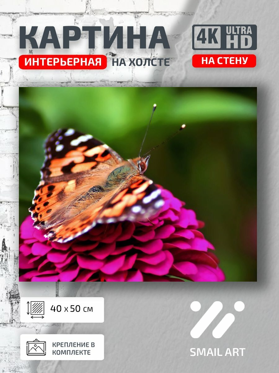 Картина на холсте интерьерная 40 на 50 на стену Насекомое Landscape для кабинета пейзаж