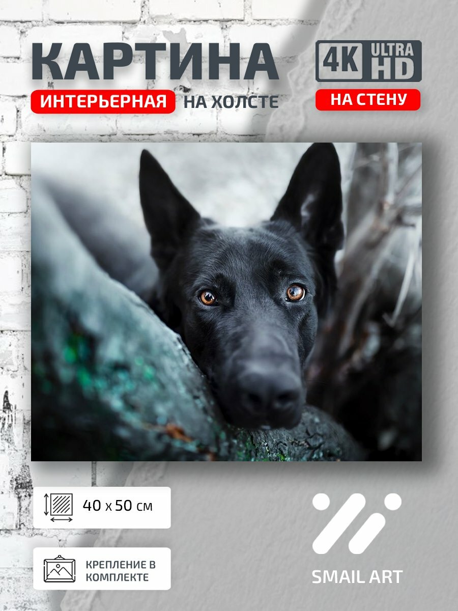 Картина на холсте интерьерная 40 на 50 на стену Пес Mood для спальни атмосфера интерьер