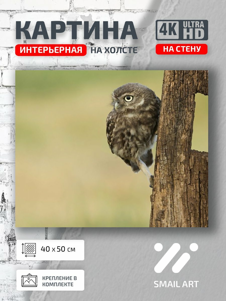 Картина на холсте интерьерная 40 на 50 на стену Бревно Animal для детской animal style
