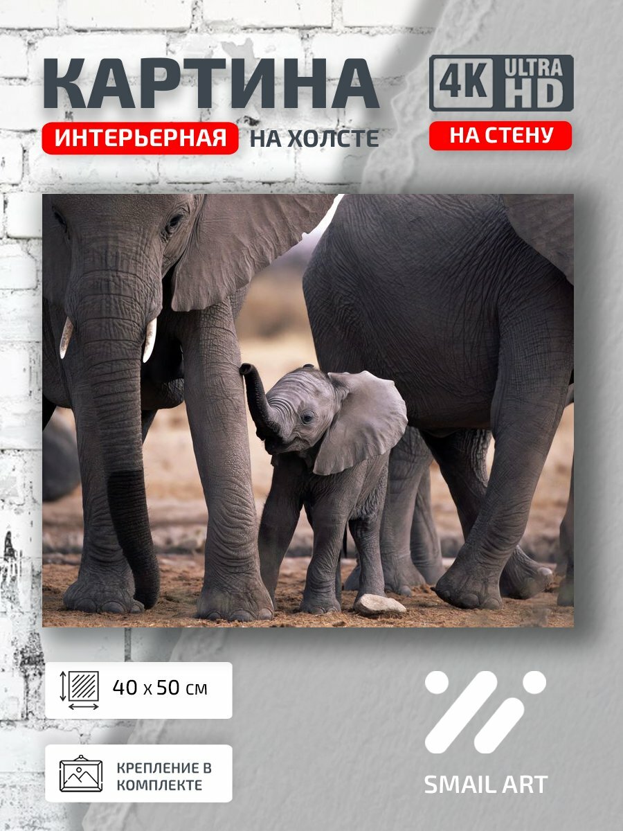 Картина на холсте интерьерная 40 на 50 на стену Мамой Animal для кафе animal style интерьер