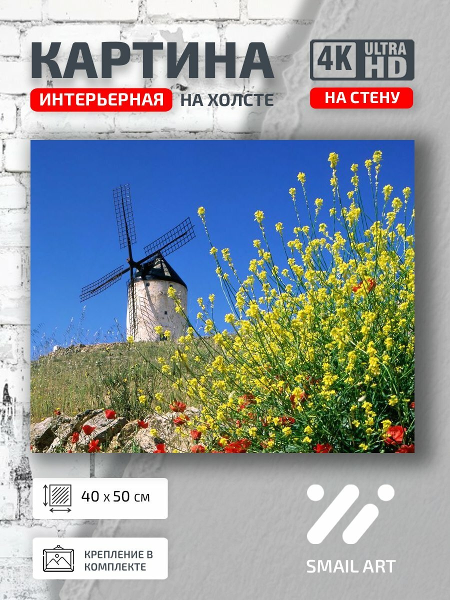 Картина на холсте интерьерная 40 на 50 на стену Мельницы Melnitsjvetryaki_6 для кафе декор