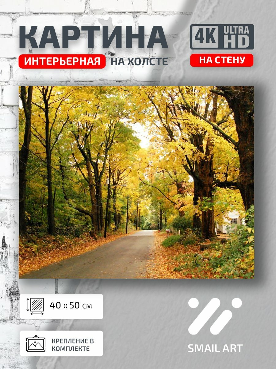 Картина на холсте интерьерная 40 на 50 на стену Дорога Landscape для спальни пейзаж декор