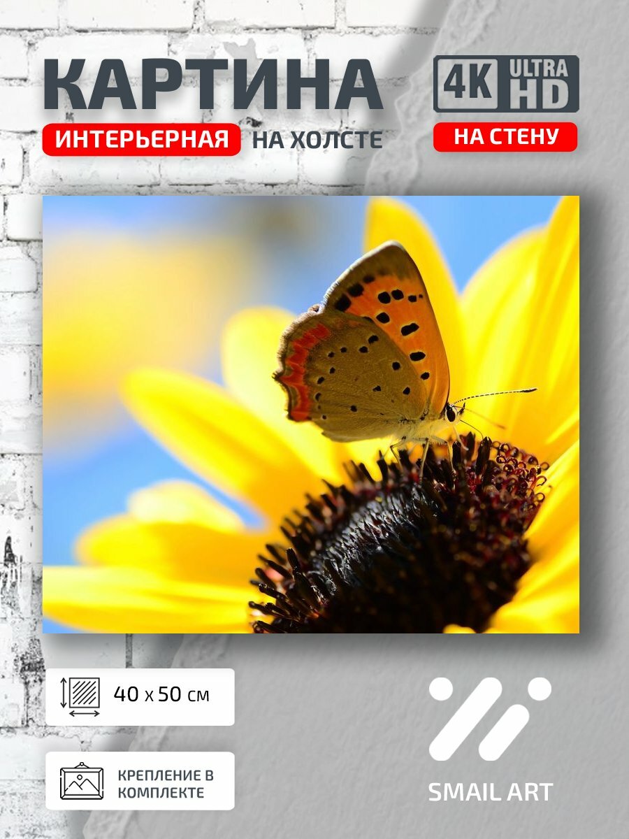 Картина на холсте интерьерная 40 на 50 на стену Подсолнух Macro для кабинета макро интерьер