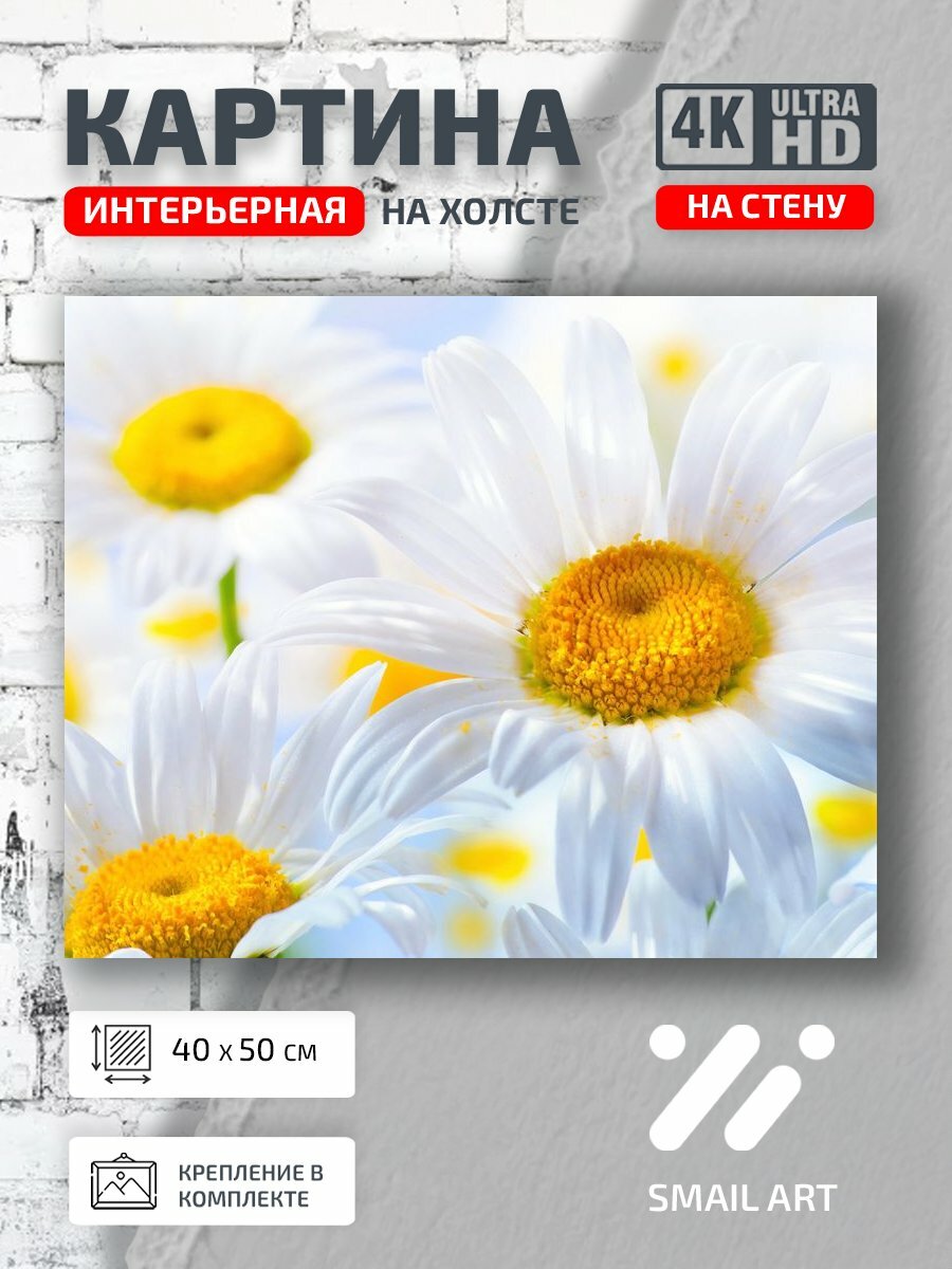 Картина на холсте интерьерная 40 на 50 на стену Лепестки Macro для спальни макро интерьер