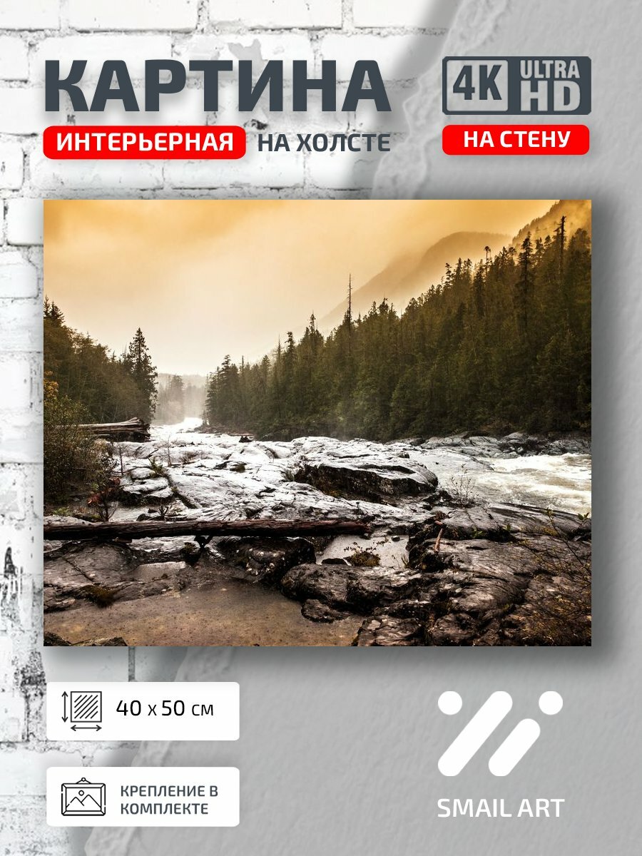 Картина на холсте интерьерная 40 на 50 на стену Туман Landscape для офиса пейзаж интерьер