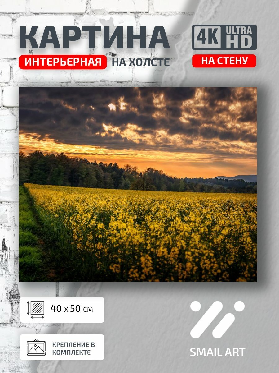 Картина на холсте интерьерная 40 на 50 на стену Облака Landscape для кабинета пейзаж декор