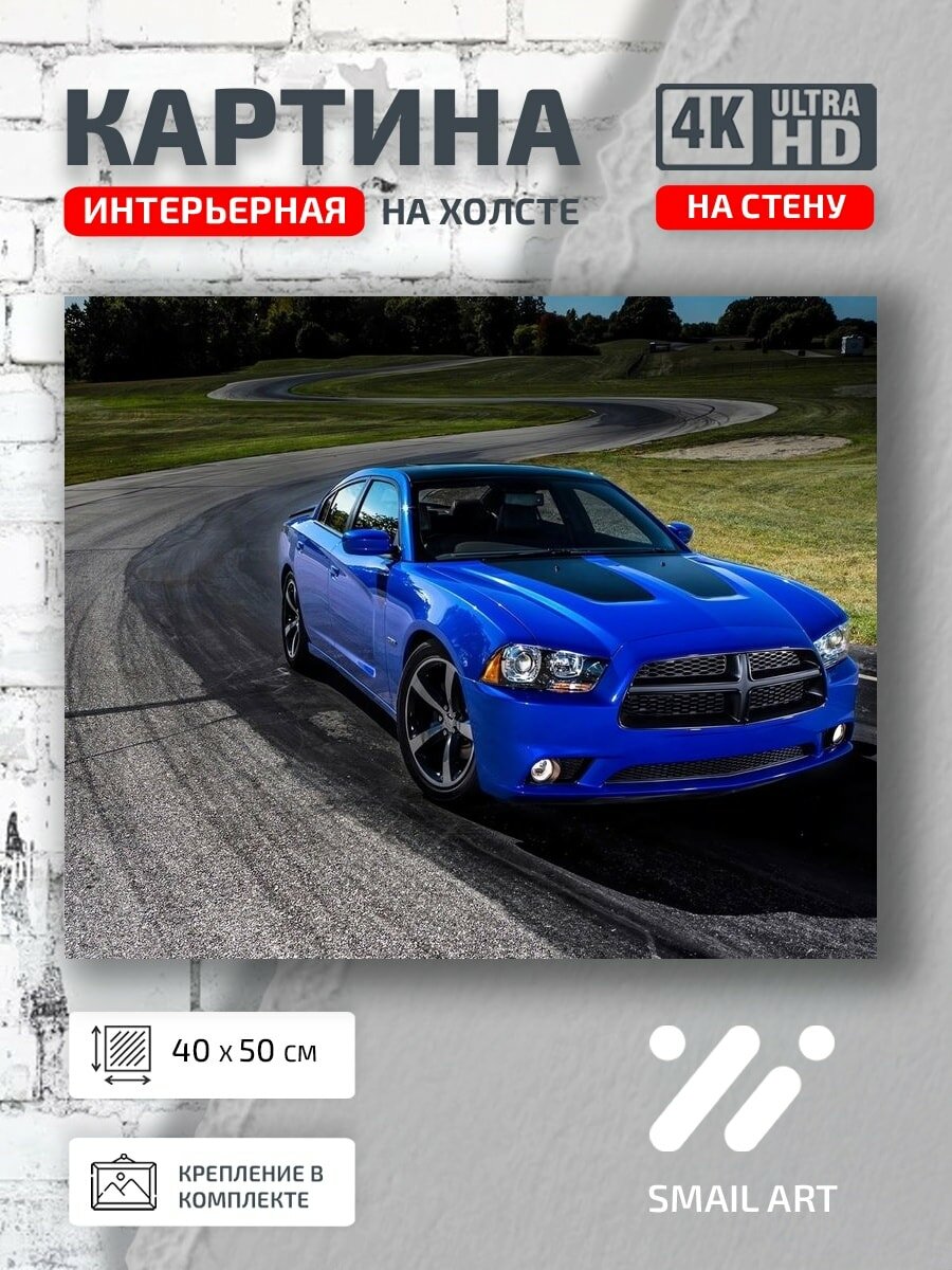 Картина на холсте интерьерная 40 на 50 на стену Daytona 2013 для гостиной атмосфера