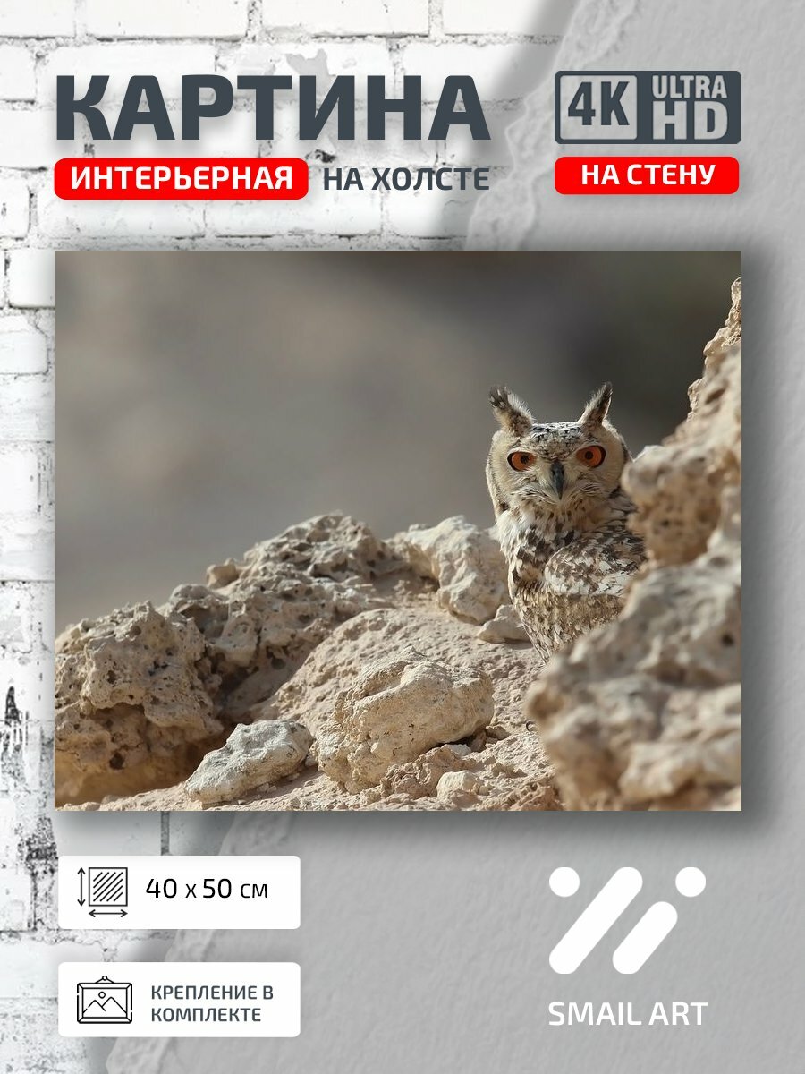 Картина на холсте интерьерная 40 на 50 на стену Птица Landscape для кафе пейзаж интерьер