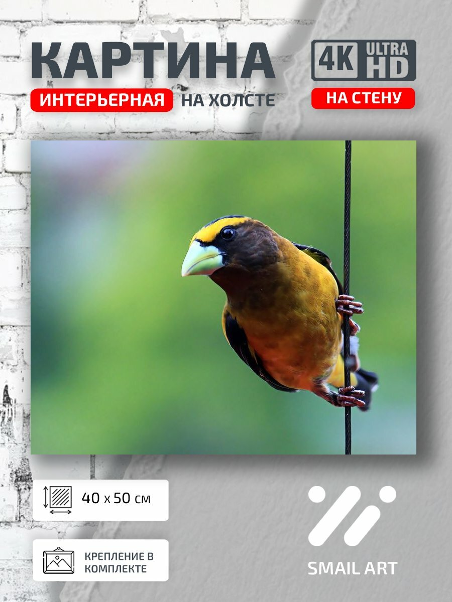 Картина на холсте интерьерная 40 на 50 на стену Птицы Landscape для спальни пейзаж интерьер