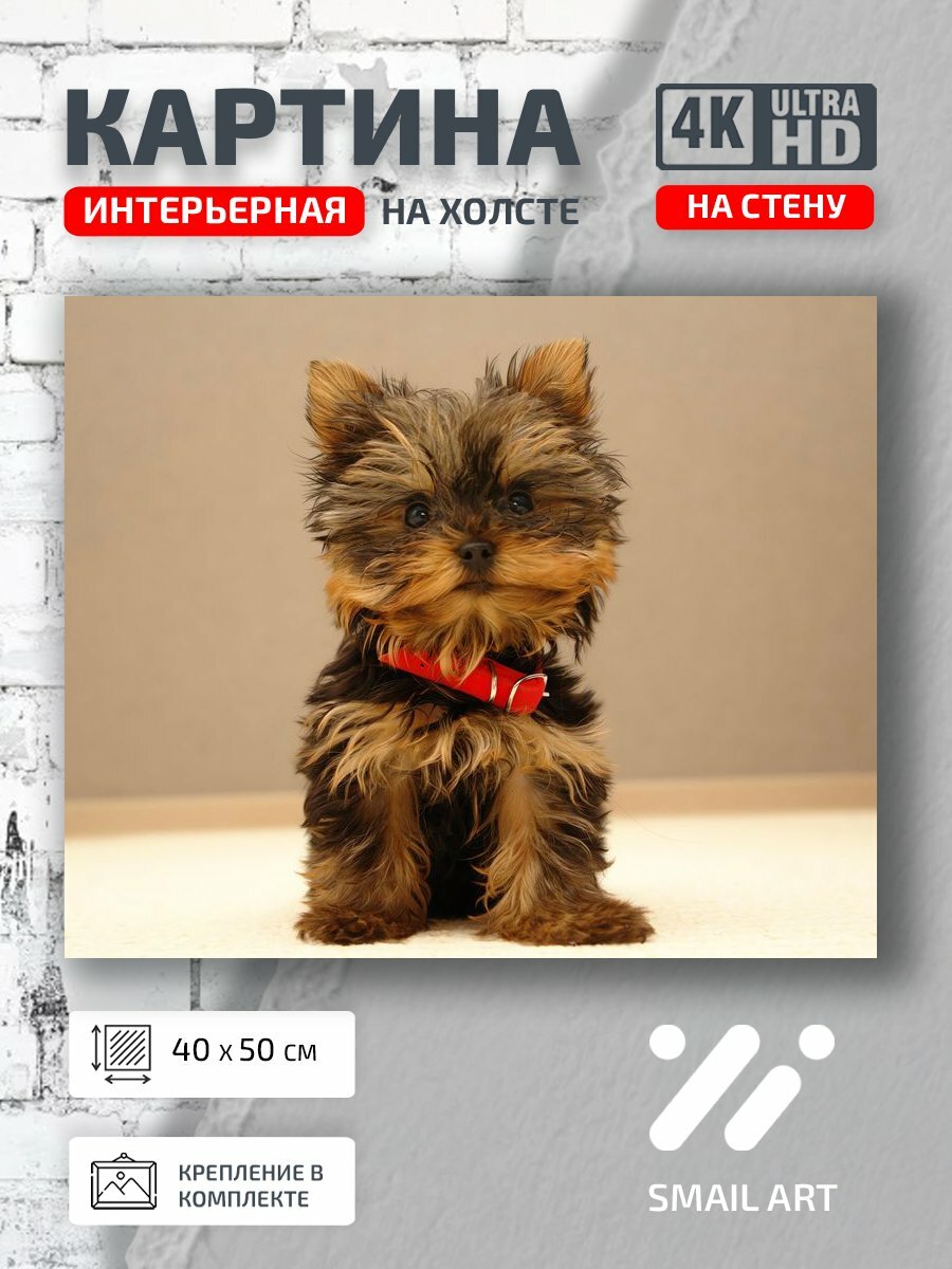 Картина на холсте интерьерная 40 на 50 на стену Собачка Mood для офиса атмосфера интерьер