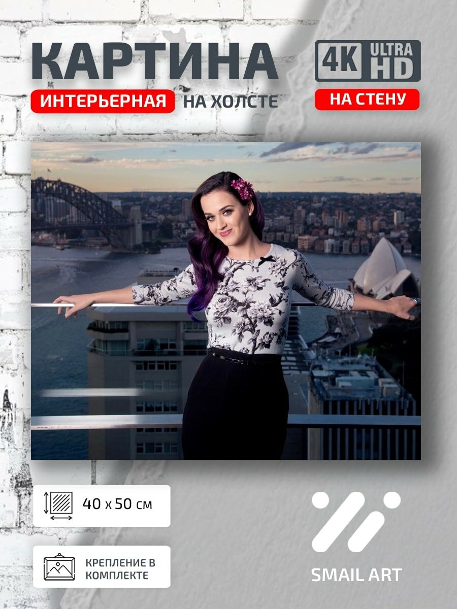 Картина на холсте интерьерная 40 на 50 на стену American singer для студии атмосфера