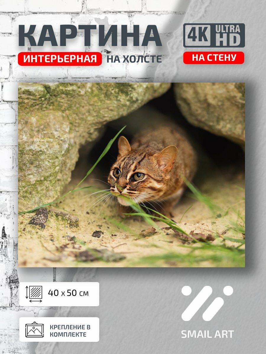 Картина на холсте интерьерная 40 на 50 на стену Пятнистая Animal для детской animal style