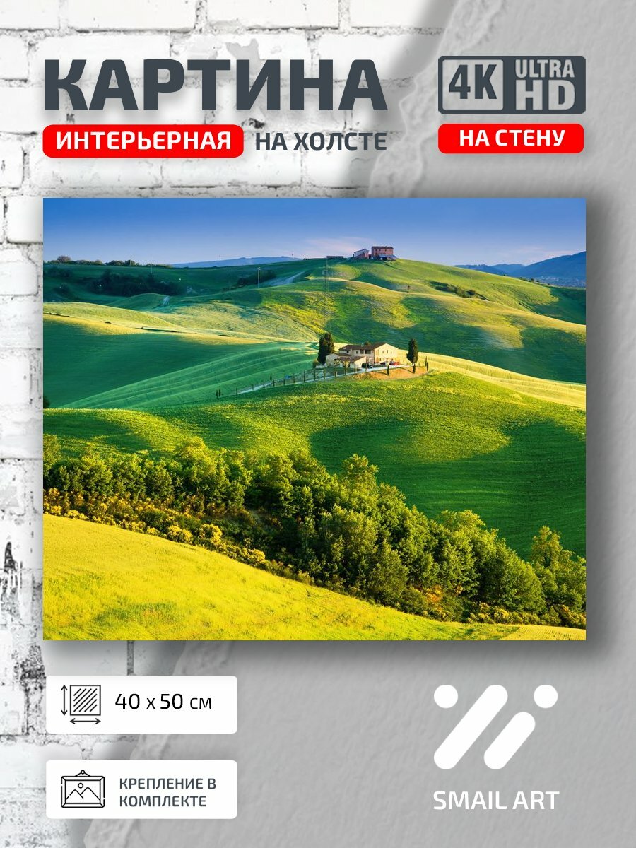Картина на холсте интерьерная 40 на 50 на стену Поле Landscape для гостиной пейзаж интерьер