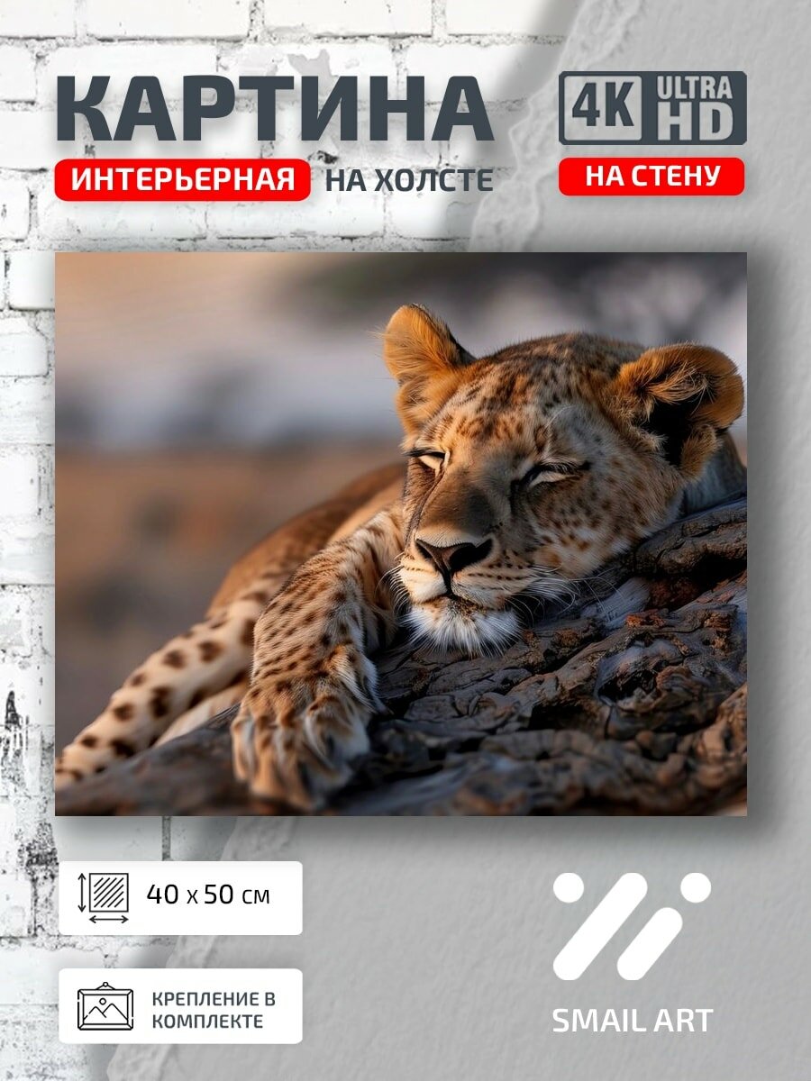 Картина на холсте интерьерная 40 на 50 на стену Животные Львенок для гостиной атмосфера