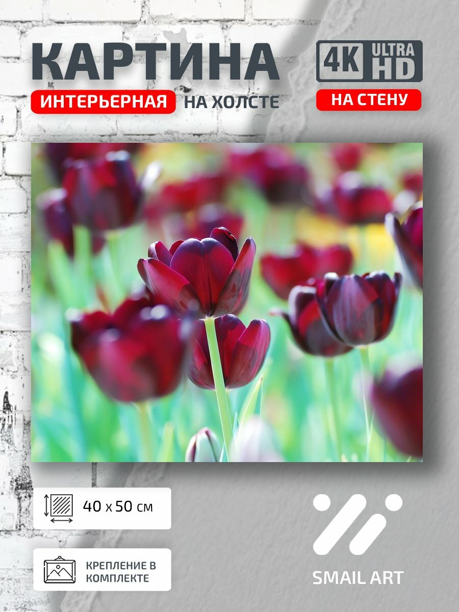 Картина на холсте интерьерная 40 на 50 на стену План Landscape для кафе пейзаж интерьер