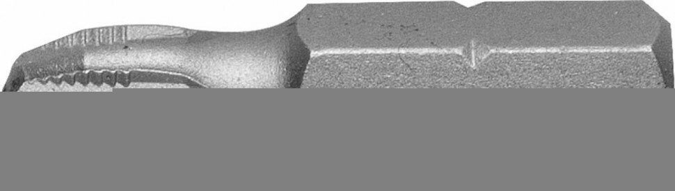 STAYER Биты STAYER "PROFI", хвостовик C 1/4", PH №3, 25мм, 2 шт, ( 26201-3-25-02 )