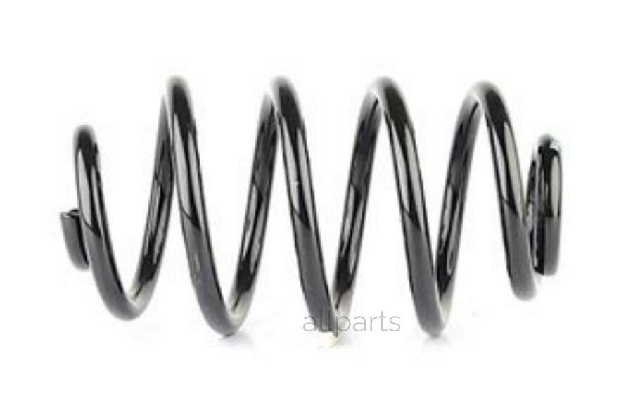 BSG AUTO PARTS BSG65-305-008 Пружина задней подвески