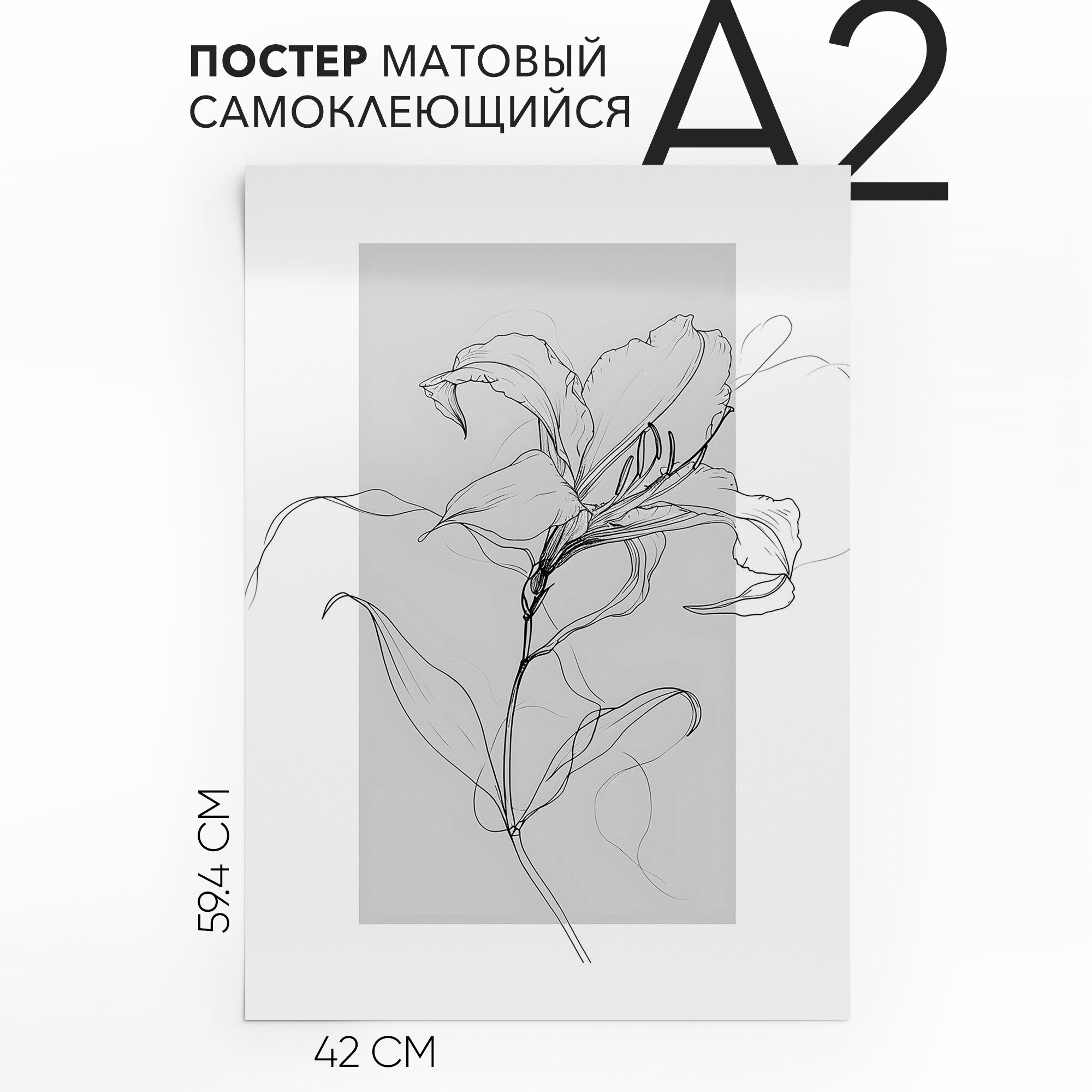 Картины постеры на стену самоклеящийся, большой A2 Цветок контур, влагостойкий, для декора