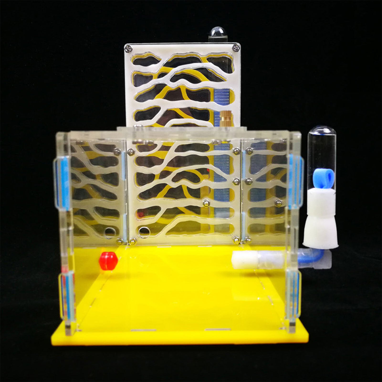 DIY T-Design Зона кормления Акриловая ферма Насекомое Вилла Мания Дом Муравьиное Гнездо Подарок на День Рождения Подарок