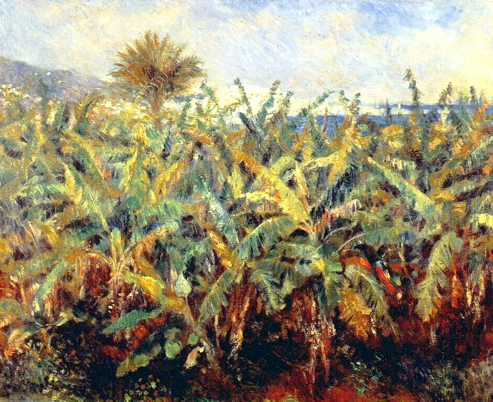 Картина Ренуара Огюста Поле банановых деревьев 1881 60х49 см