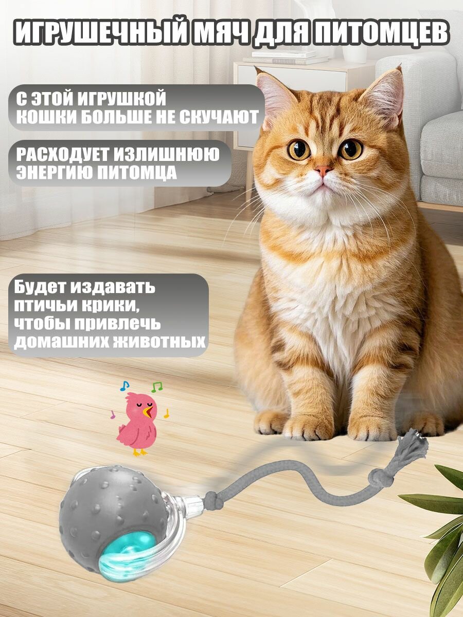 Игрушка шар для кошек и собак интерактивная Развивающие игрушки для домашних животных, прыгающий мяч